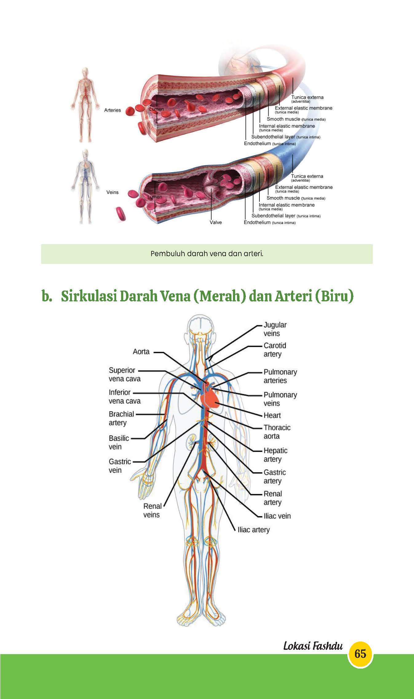 ATLAS FASDU - Penerbit Al Qowam